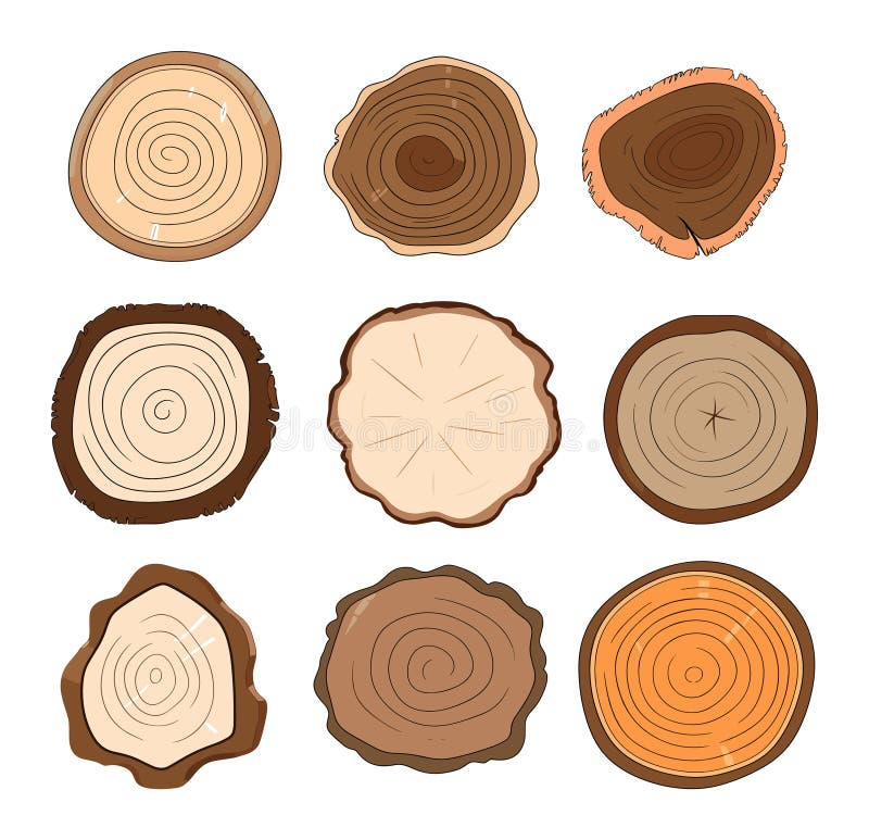 Collection of Tree Rings, Top View, Different Shapes and Patterns. Set ...