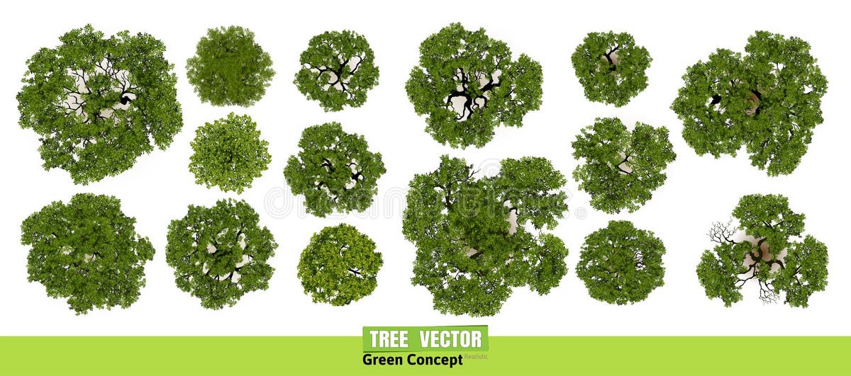 Aerial View Trees Stock Illustrations – 13,552 Aerial View Trees Stock ...