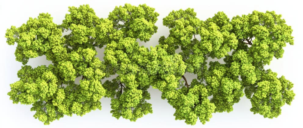 Collection of Tree Tops in Various Shades of Green with Differing ...