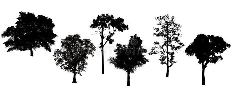 Collection of Trees Silhouettes Isolate on White Background. Clipping ...