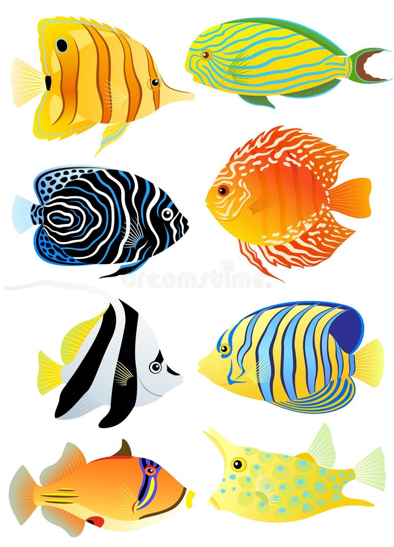 Tropical Fish Stock Illustrations – 234,237 Tropical Fish Stock ...