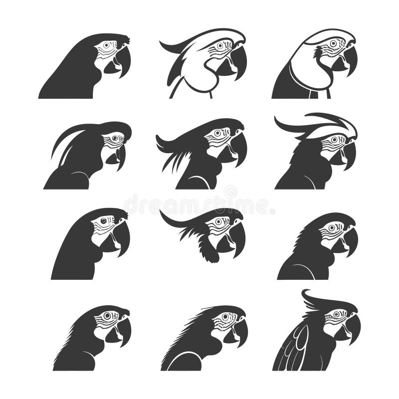 Twelve Monochrome Parrot Heads: a Collection of Bird Portraits Stock ...
