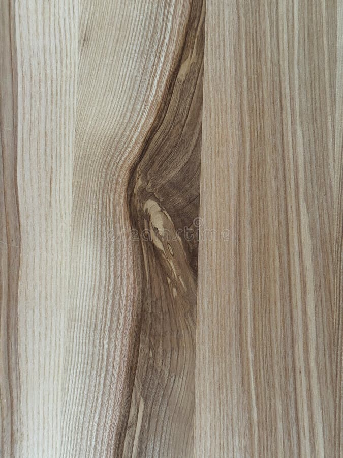 Exploring the Intricate Beauty of Natural Textures Captured from Various Surfaces Stock Photo ...