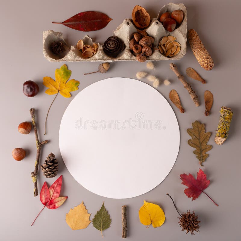 A Collection of Various Autumn Leaves, Nuts, Seeds, and Other Natural ...