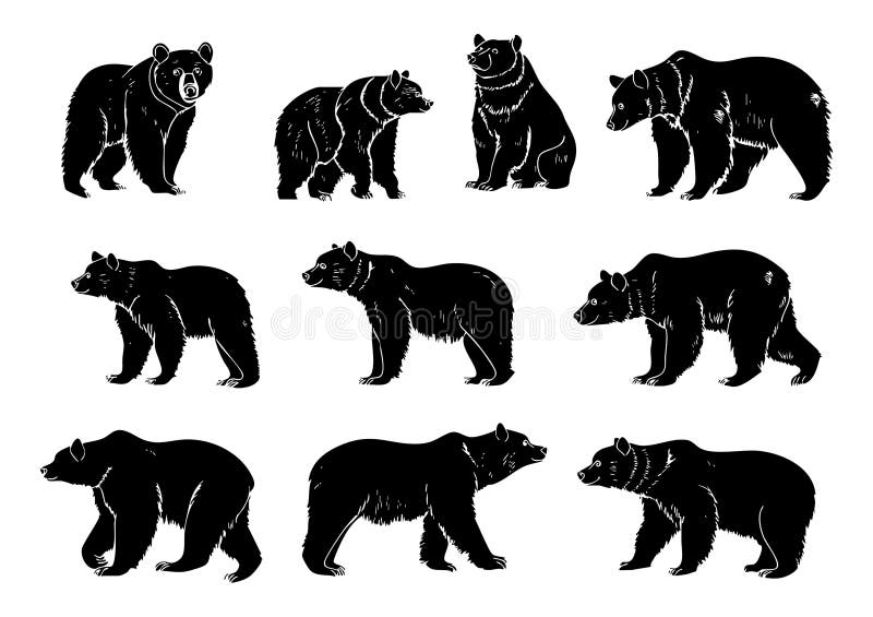 A Collection of Various Bear Illustrations in Black and White, Showcasing Stock Vector ...