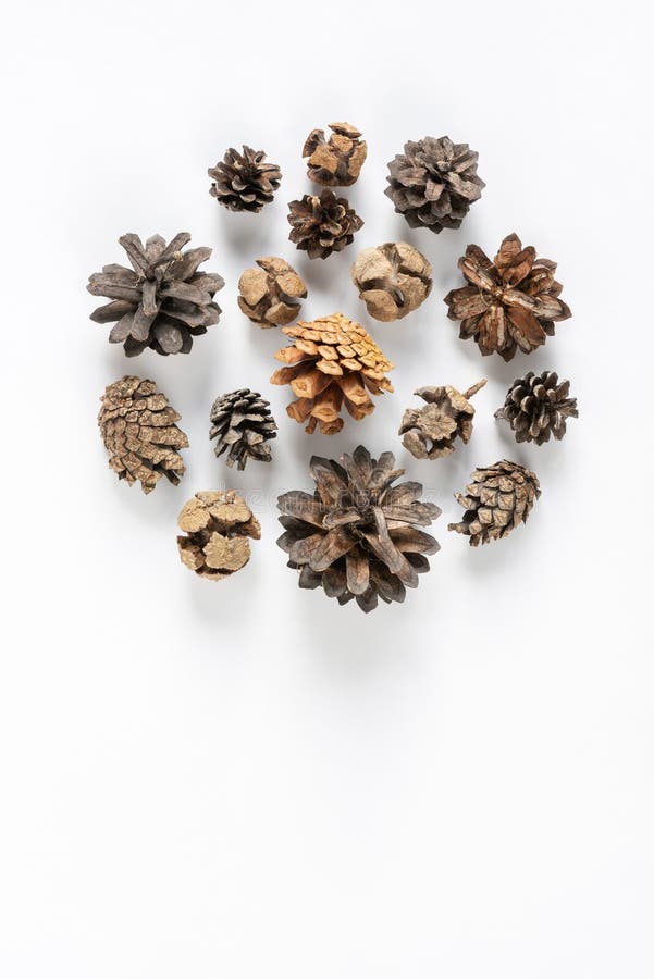 Collection of Various Cones Folded in the Form of a Circle on a White ...