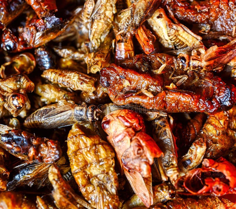 High Protein Ready To Eat Deep Stock Photos - Free & Royalty-Free Stock ...