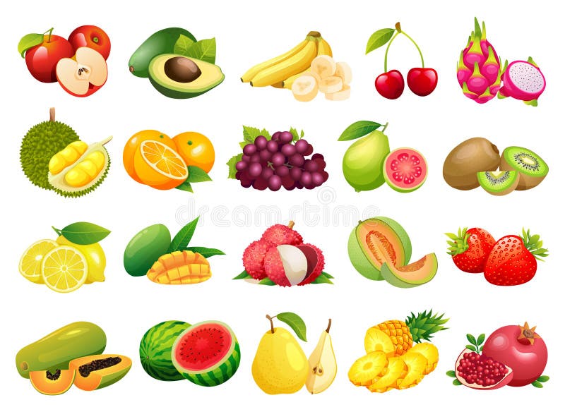 Collection of Various Kinds of Fruits Illustration Stock Vector ...