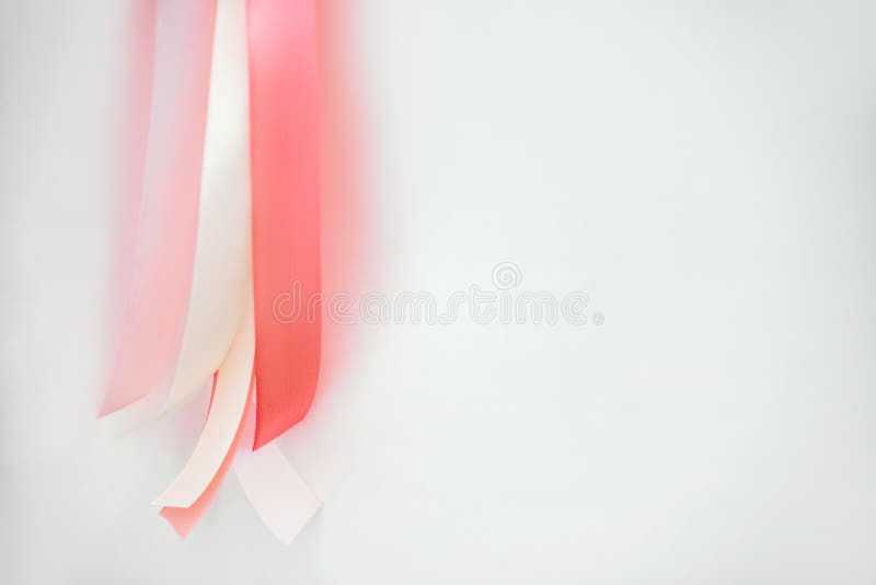 Collection of Various Knot and Ribbon on White Background. Stock Image ...