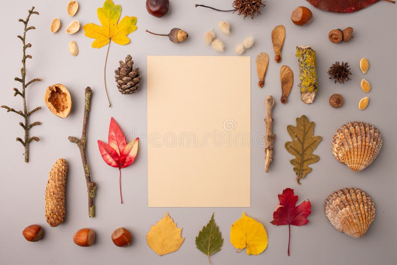 A Collection of Various Natural Objects Arranged Around a Blank Piece ...