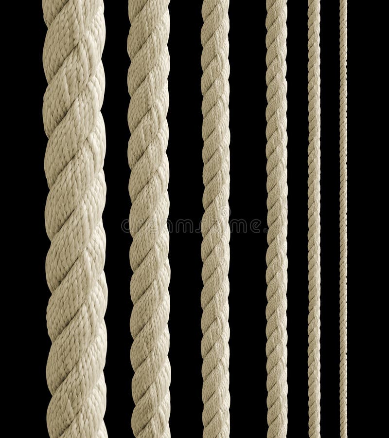 Collection of Various Jeans Parts on White Stock Photo - Image of ...