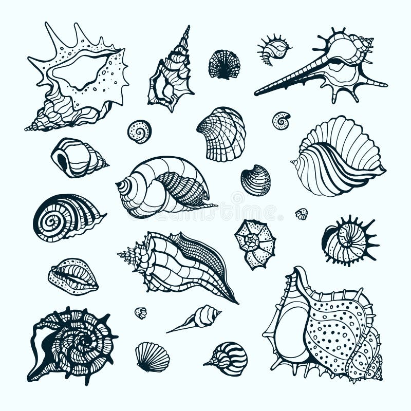 Silhouette Sea Shells Stock Illustrations – 2,131 Silhouette Sea Shells ...