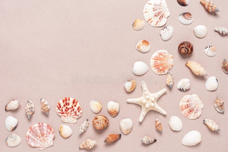 Collection of Various Seashells on Beige Craft Paper, Corner Frame ...