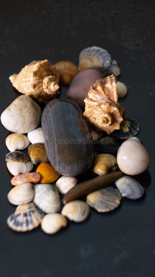 Aquarium Setups Stock Photos - Free & Royalty-Free Stock Photos from ...