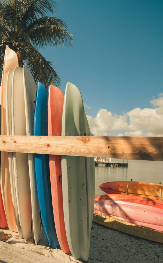 The Surfboards are Resting on a Rack on the Beach Stock Photo - Image ...