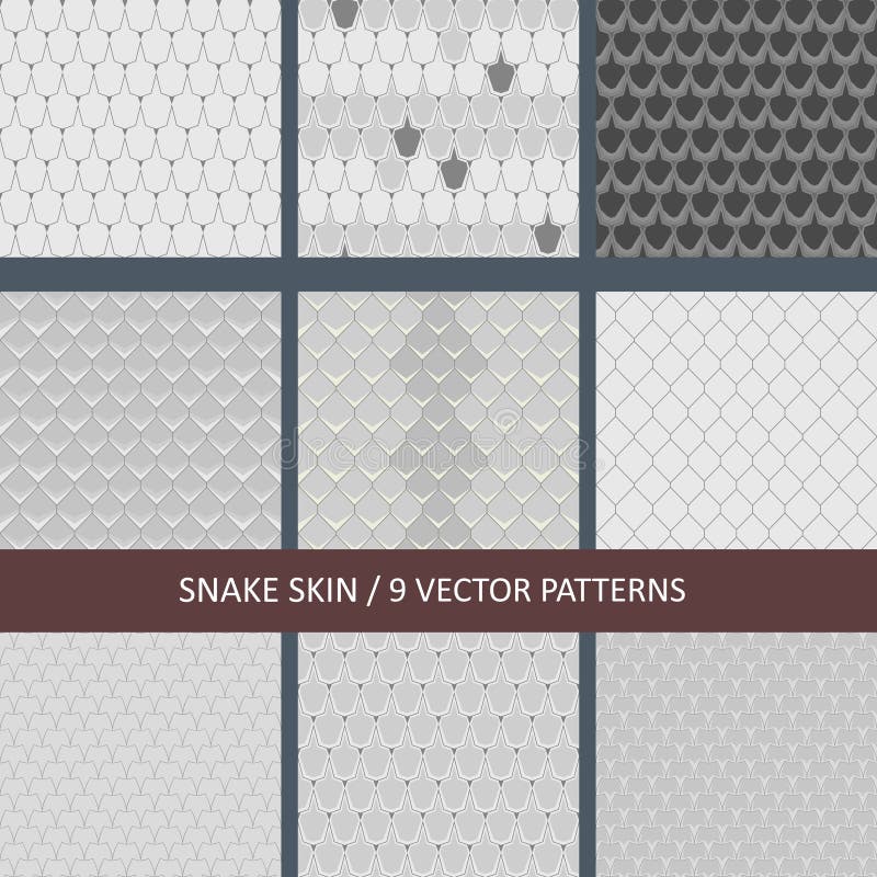 Set of Vector Decorative Snake Skin Textures Stock Vector ...