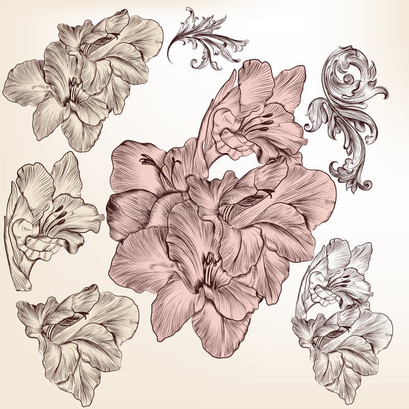 Collection of Vector Detailed Hand Drawn Flowers for Design Stock ...