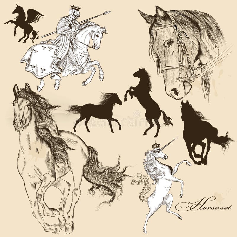Collection of Vector Detailed Horses for Design Stock Vector ...