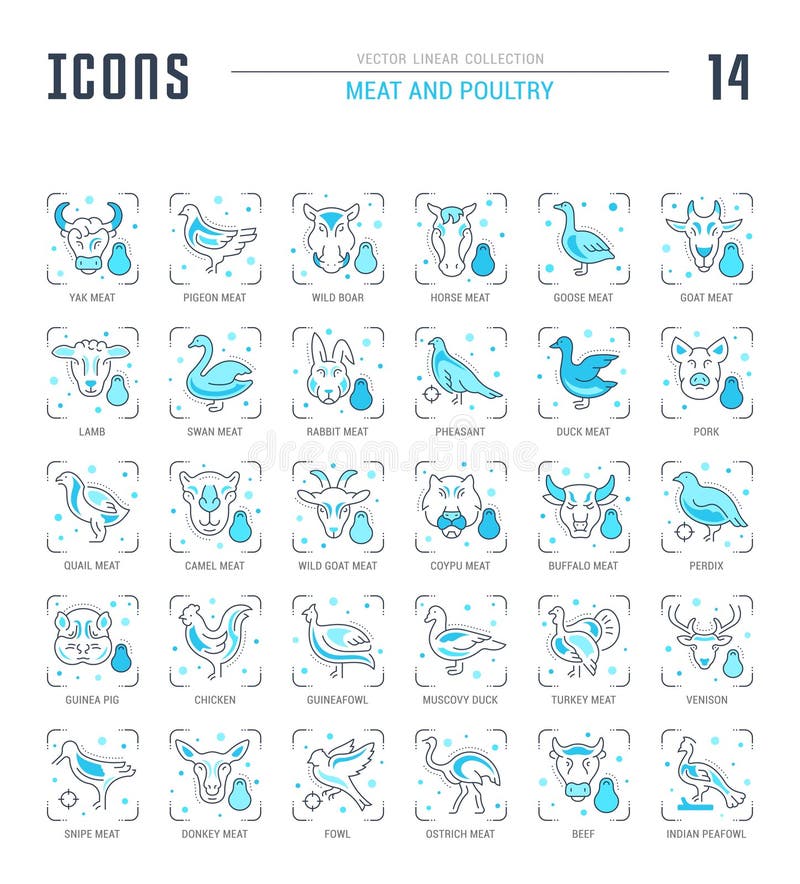 Poultry Pictograms Stock Illustrations – 96 Poultry Pictograms Stock ...