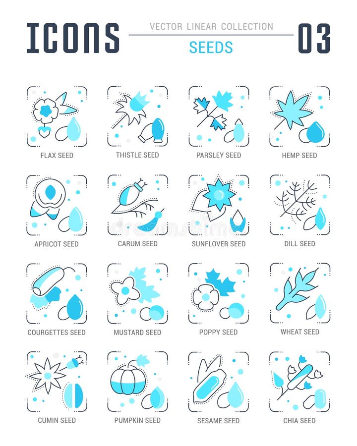 Set Blue Line Icons of Seeds Stock Illustration - Illustration of hemp ...