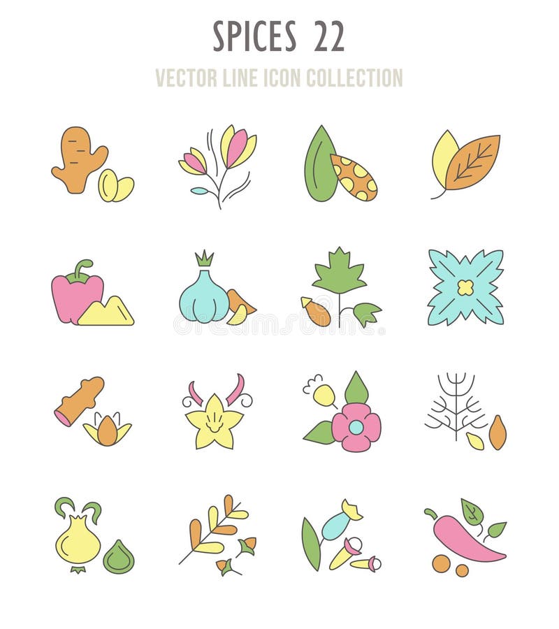 Spices Infographic with Herb and Seasoning Charts Stock Vector ...