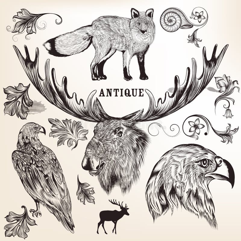 Fox Ruler Stock Illustrations – 79 Fox Ruler Stock Illustrations ...