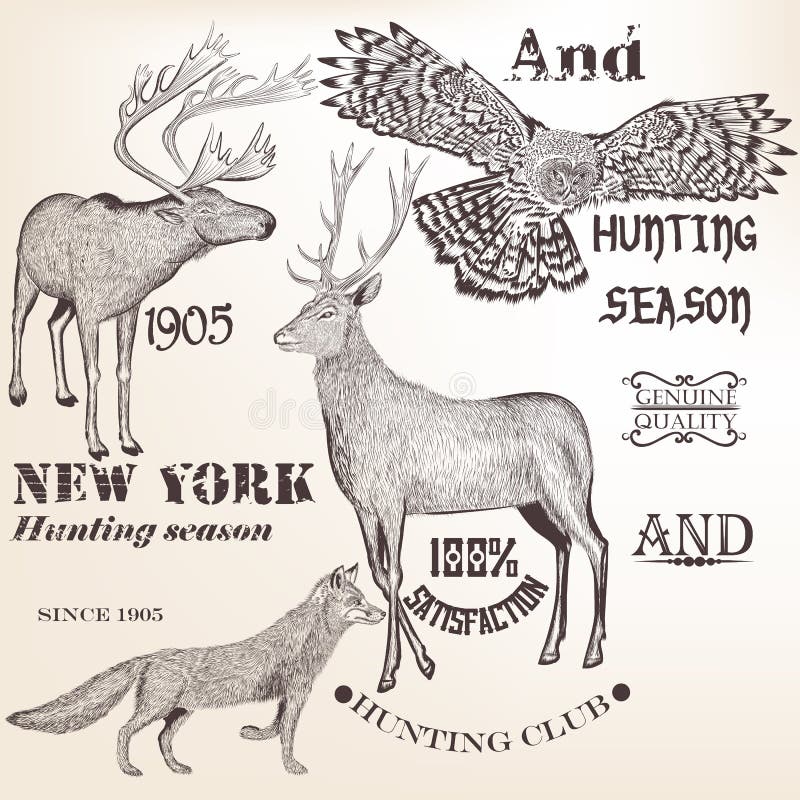 Fox Ruler Stock Illustrations – 79 Fox Ruler Stock Illustrations ...