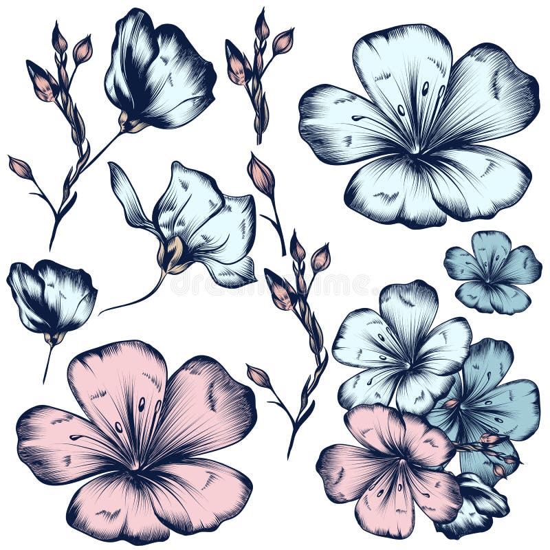 Collection of Vector Hand Drawn Flowers for Design Stock Illustration ...