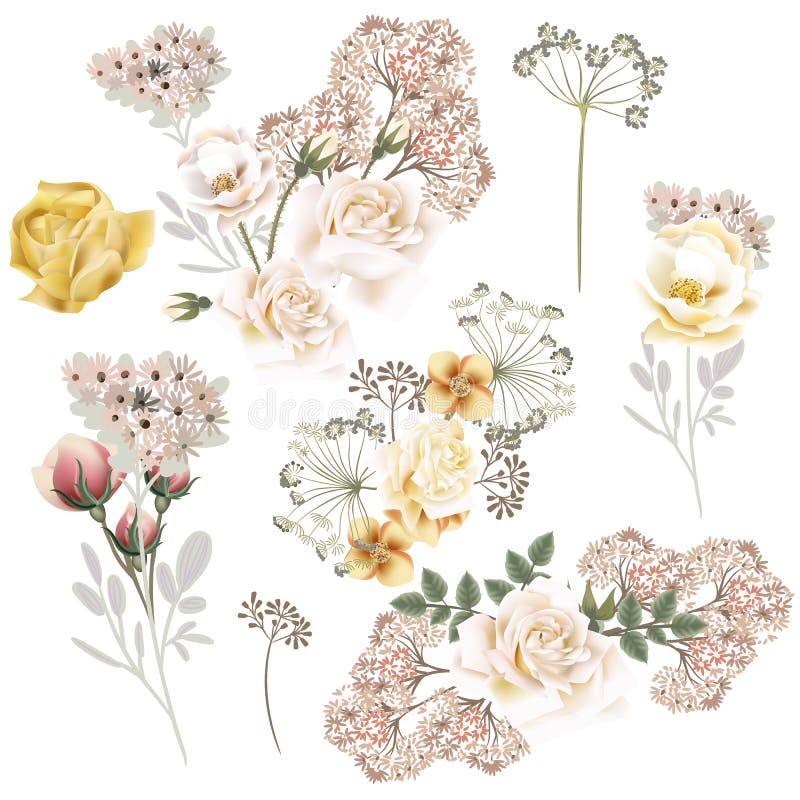 Collection of Vector Rose Flowers for Wedding Design Stock Vector ...