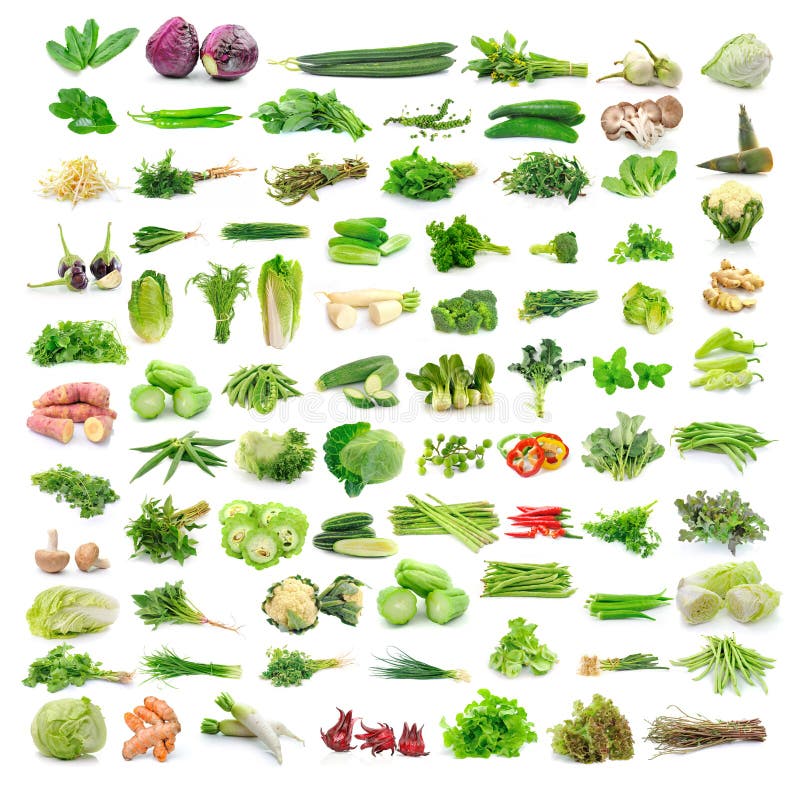 Collection of Vegetable Isolated on White Stock Photo - Image of gourd ...