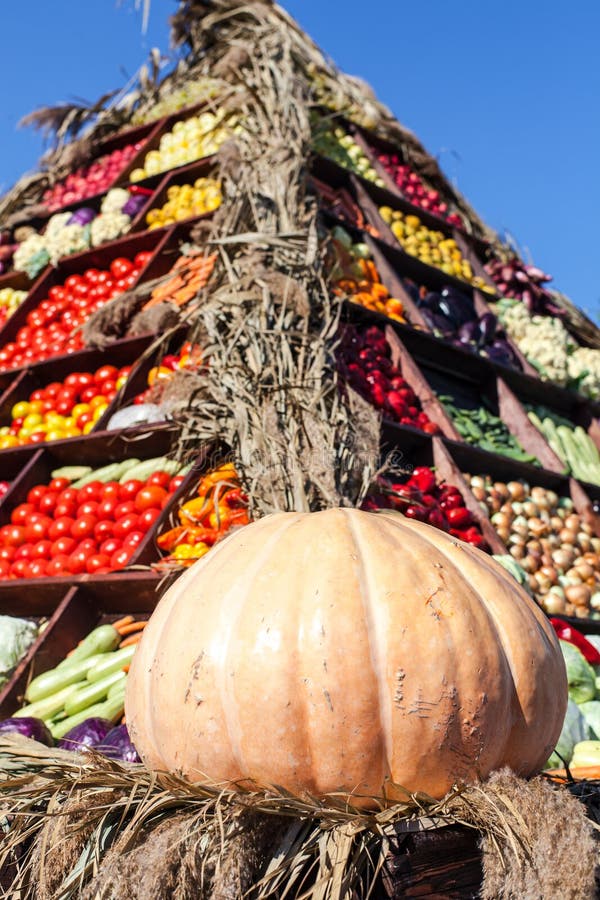 Collection of vegetables stock image. Image of cucumber - 27379863