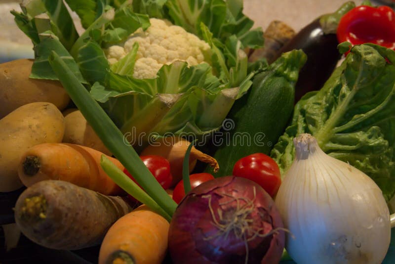 Collection of vegetables stock photo. Image of choice - 210459072