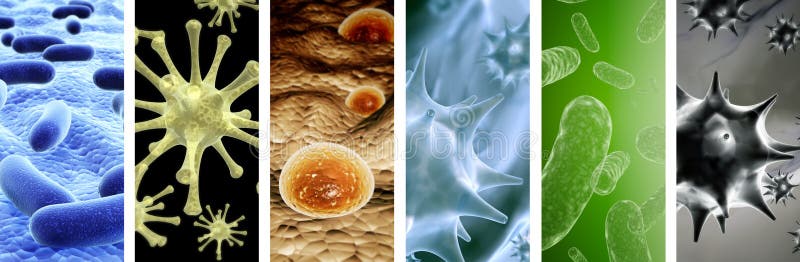 Set of Vertical Banners with Pathogenic Bacterias and Viruses Stock ...