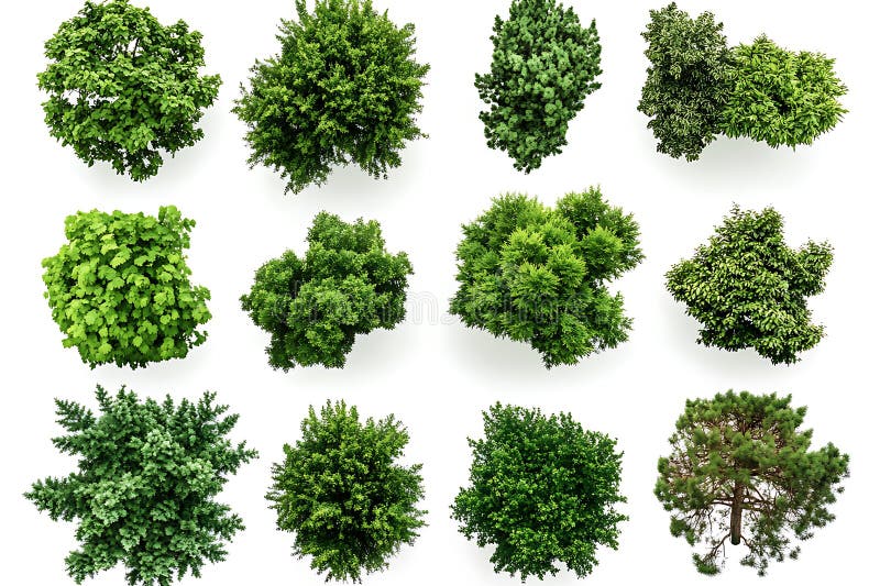 A Collection of 12 Vibrant Overhead Views Showcasing Various Types of ...