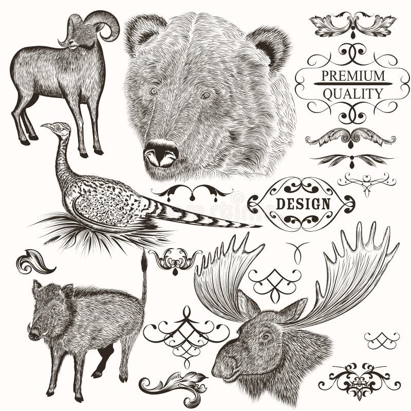 Set of Hand Drawn Animals and Flourishes in Vintage Style Stock Vector ...