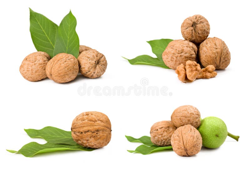 Collection of walnuts stock photo. Image of background - 25270758