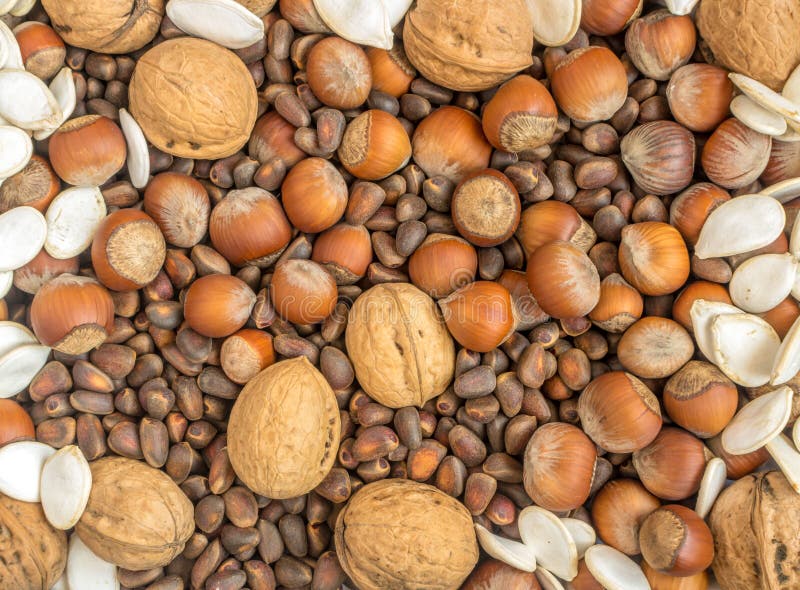 Collection of Walnuts, Hazelnuts, Pine Nuts and Pumpkin Seeds Stock ...