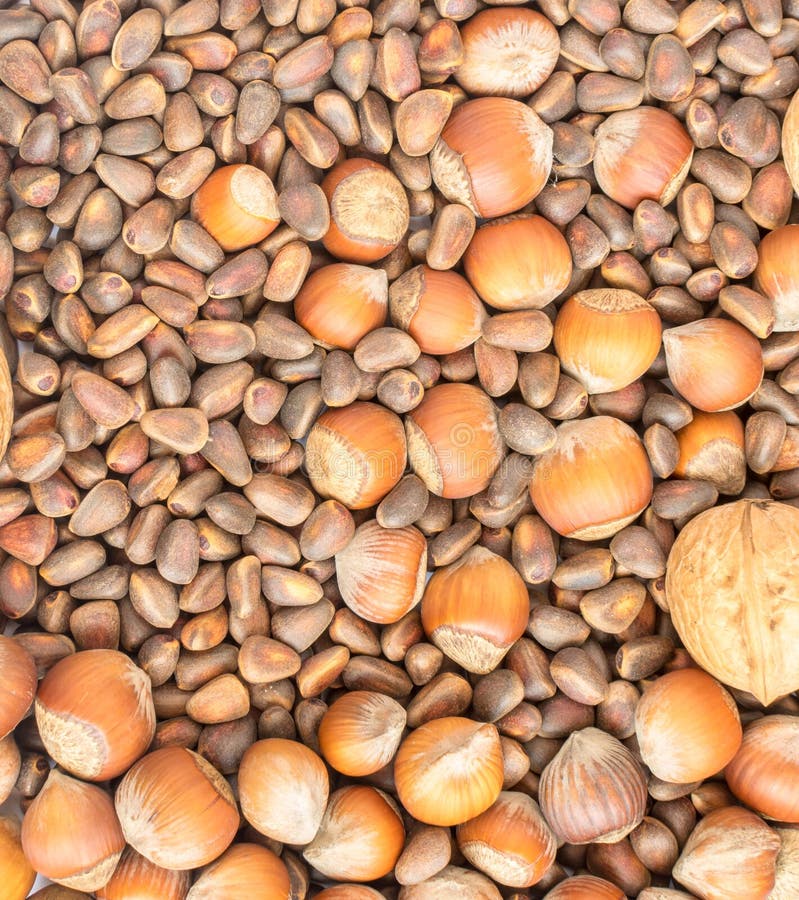 Collection of Walnuts and Hazelnuts in Shell Stock Photo - Image of ...