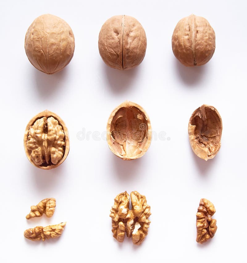 Walnuts Whole and Open, Walnut Kernels Shell on a White Background. the ...