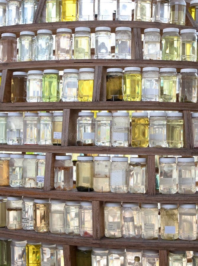 Collection of Water from All Over the World Stock Photo - Image of ...