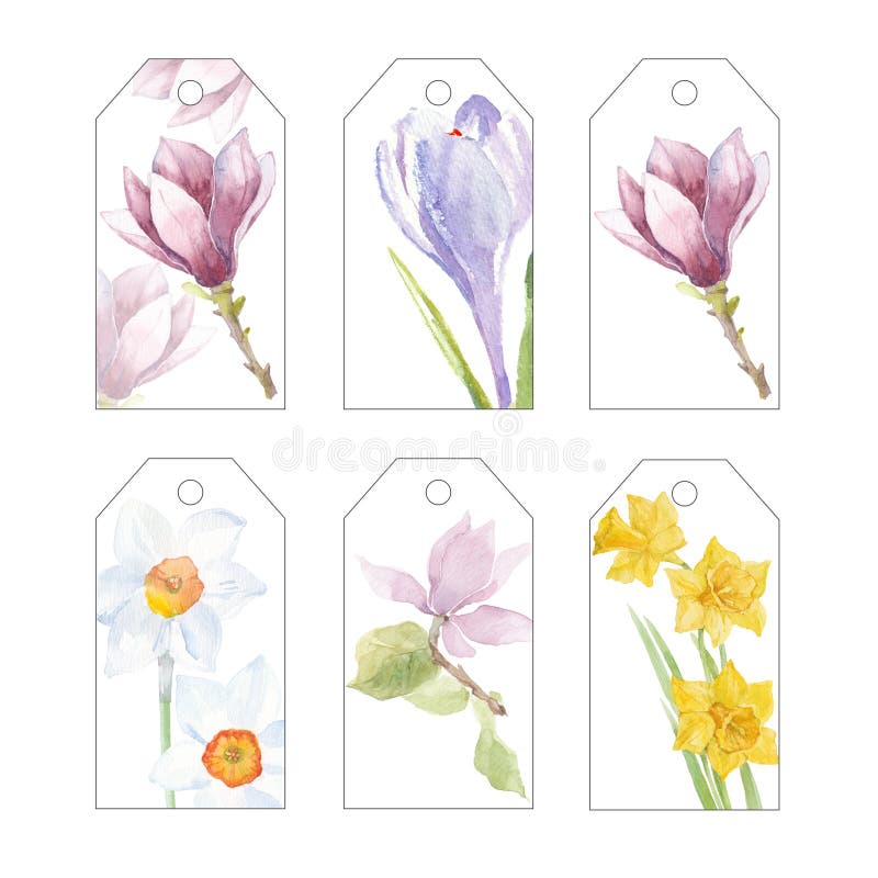 Collection Watercolor Tags with Spring Flowers. Stock Illustration ...