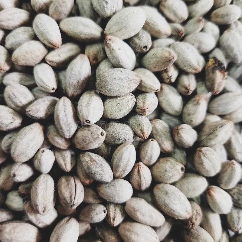 Collection White Mini Midi Stock Photos - Free & Royalty-Free Stock ...