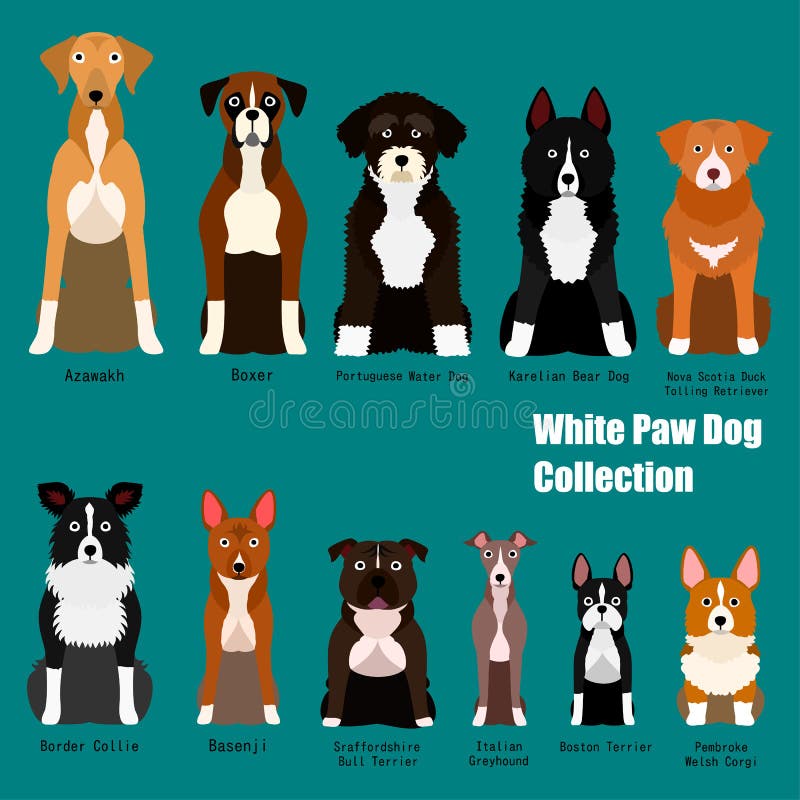 Collection of White Paw Dog Stock Vector - Illustration of animal ...