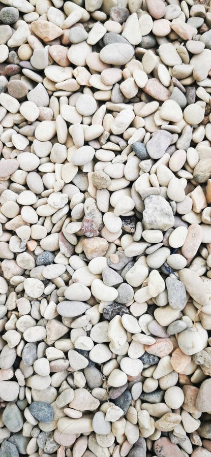 A Collection of White Pebbles Stock Photo - Image of pebbles, soil ...
