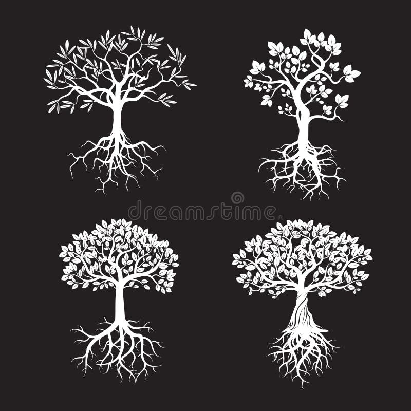 Set of White Trees with Roots. Vector Illustration. Stock Vector ...