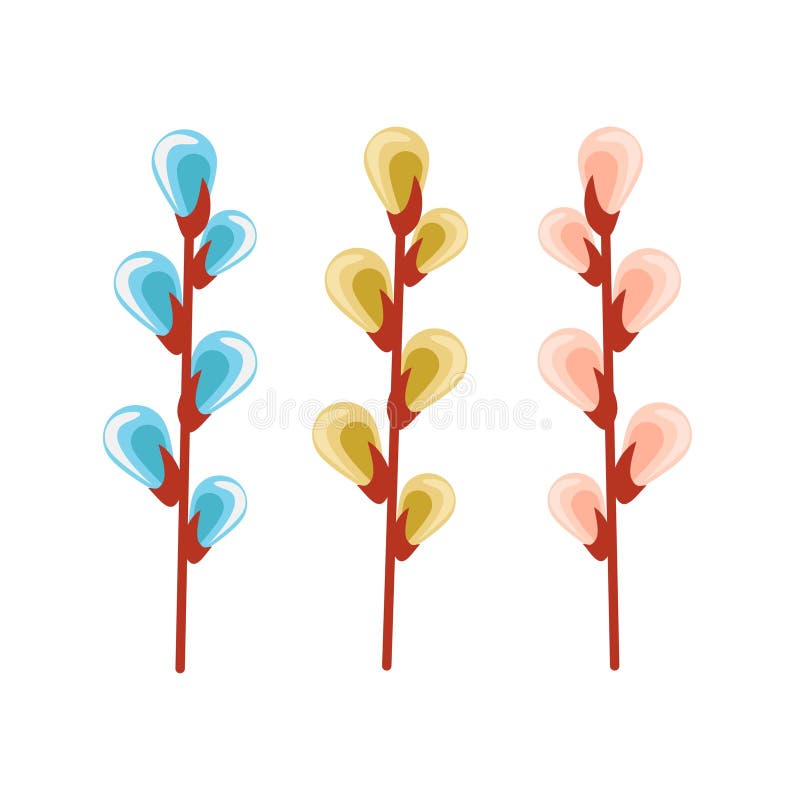 A Collection of Willow Branches. Spring Willow Branch, Easter Twigs, Willow Stock Vector ...