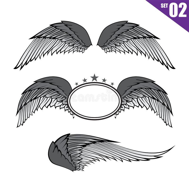 002 Collection of Wings Design Element Vector Illustration Eps10 Stock ...