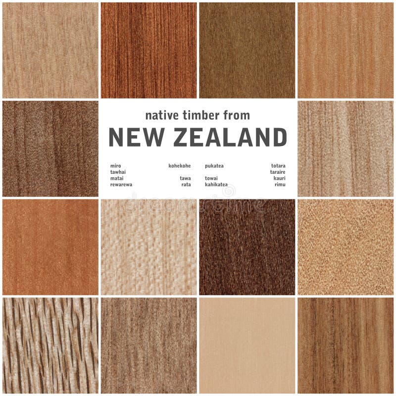 Collection of Wood Textures Stock Image - Image of door, cellulose ...