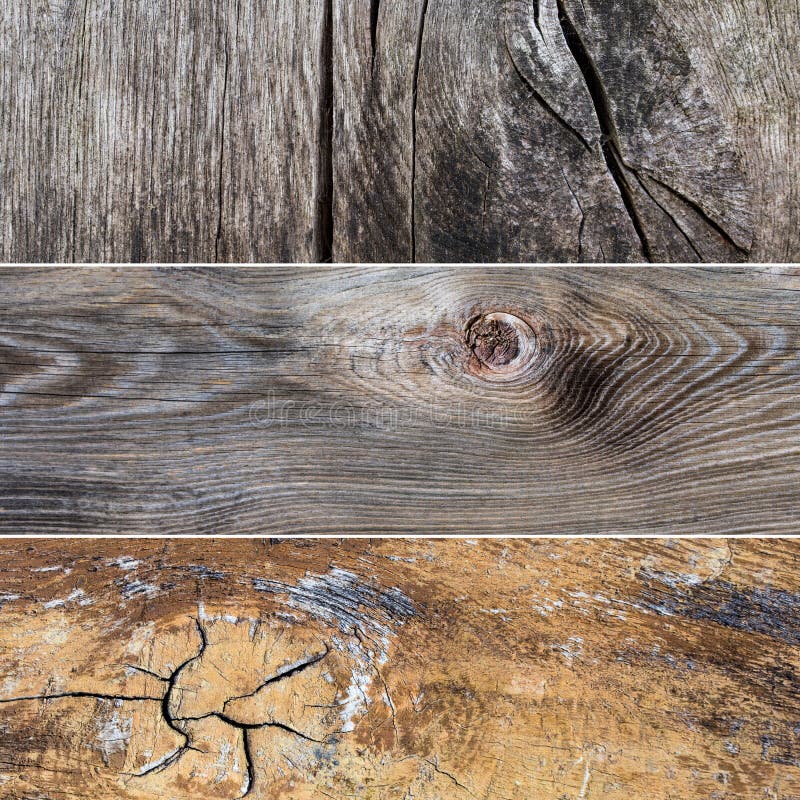 Collection of 3 Wood Texture Backgrounds Stock Photo - Image of wooden ...