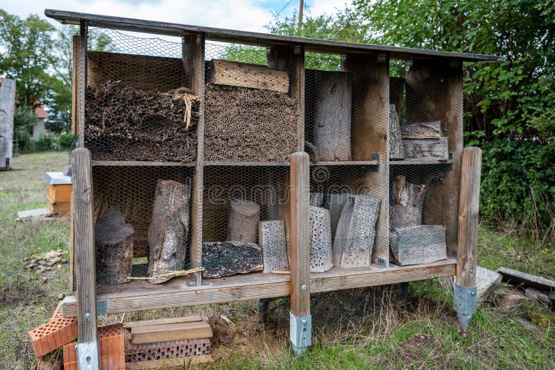 Collection of Wooden Bee Boxes with Tree Branches in Nature Stock Photo ...